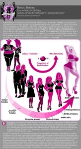 bimbofication guide Archives - Pink Bimbo Academy